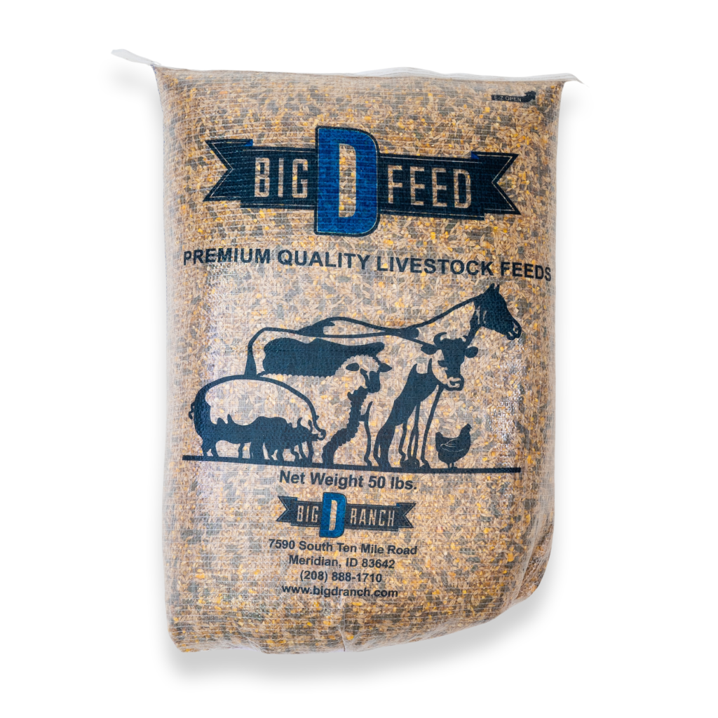 Horse – Big D Feed