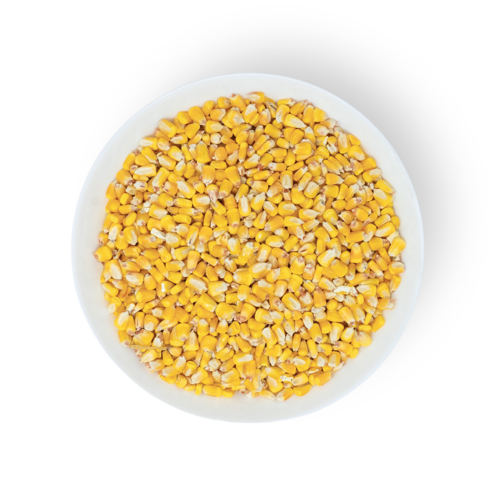 Whole Corn – Big D Feed